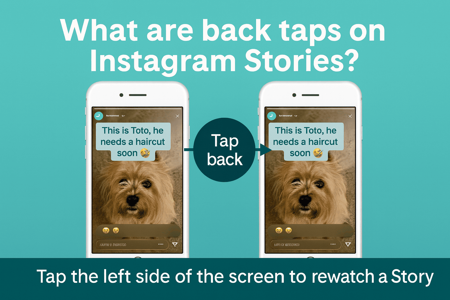 Instagram Navigation: What Back, Forward, Swipe | Poprey Blog